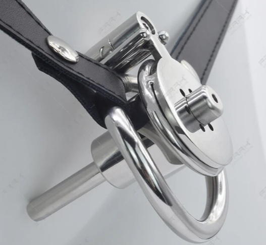 Nexus Inverted Stainless Steel Chastity Cage – S-Supplies